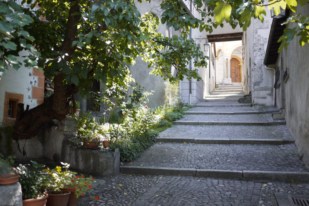 visit VISP | Welcome to Visp